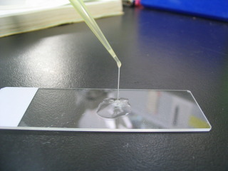 testes microbiologique : Test KOH ~ ProBiologiste