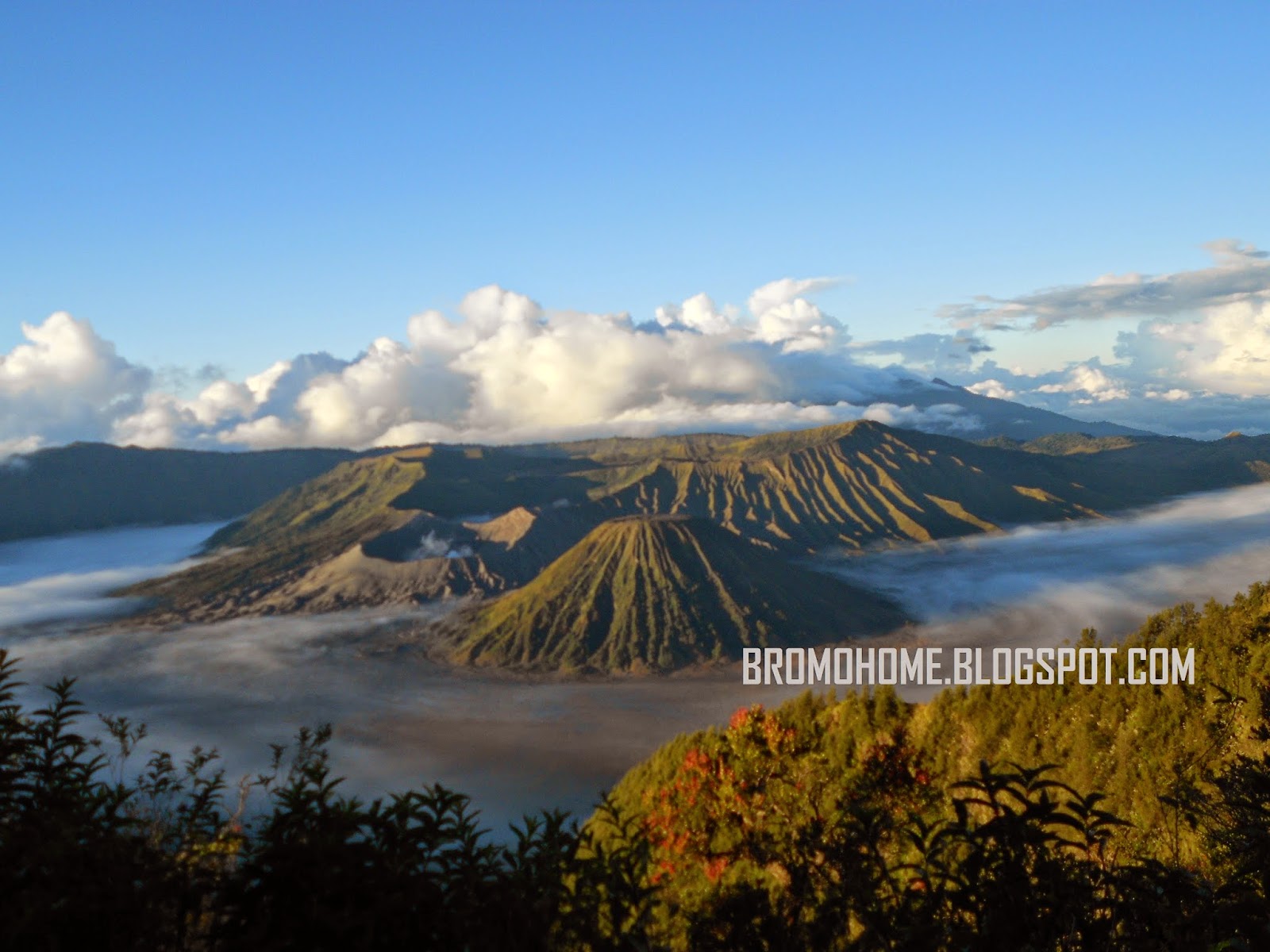 Lokasi Gunung Bromo - Perumperindo.co.id