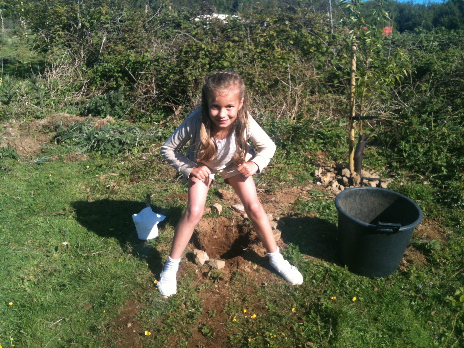 Tales From Fox Wood: June 2013