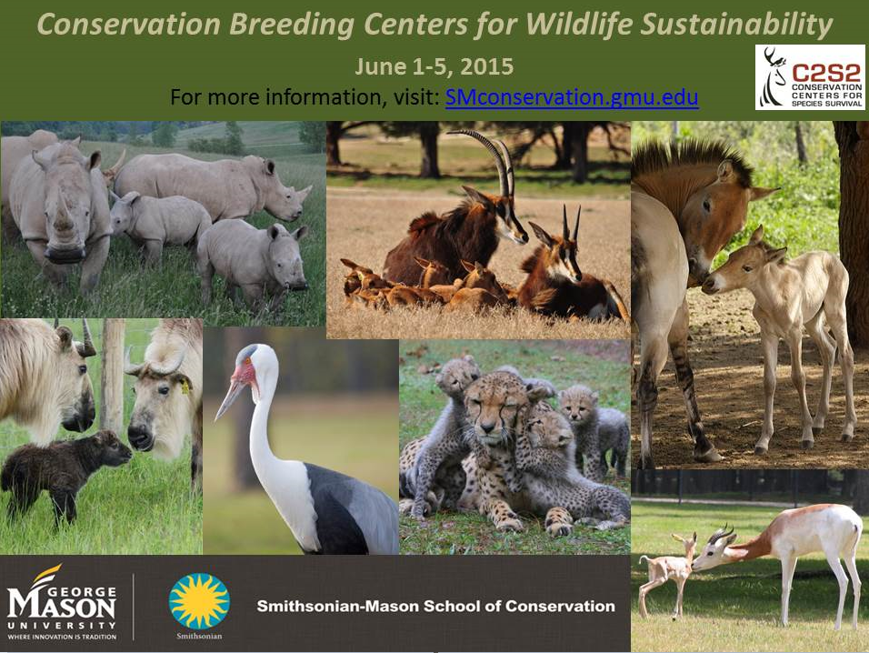 Zoo News Digest: Conservation Breeding Centers for Wildlife Sustainability