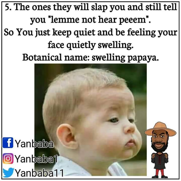 Stella Dimoko Korkus.com: Different Types Of Slaps And Their Botanical ...