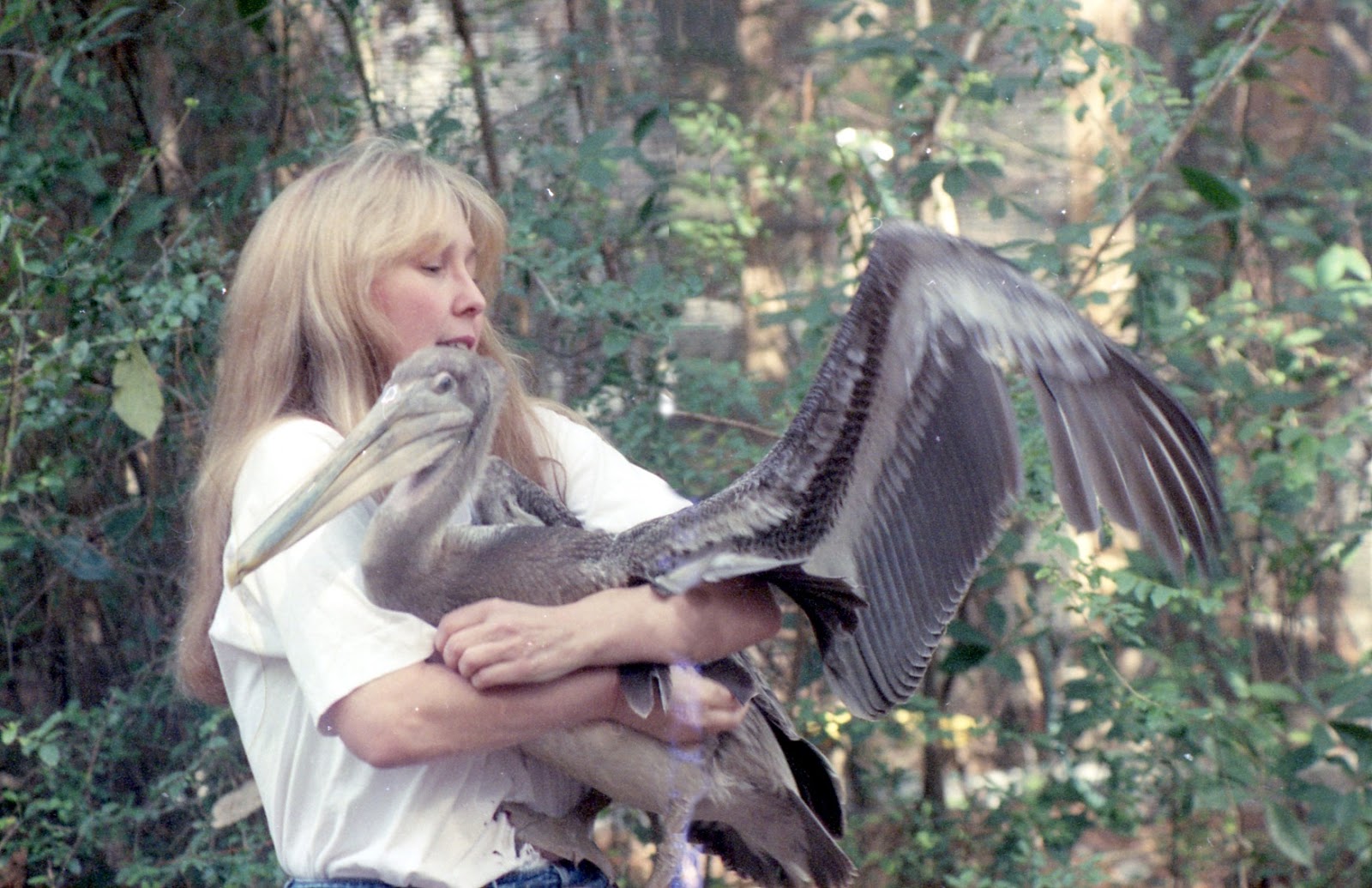 Tammany Family: Pelican Picture Posing