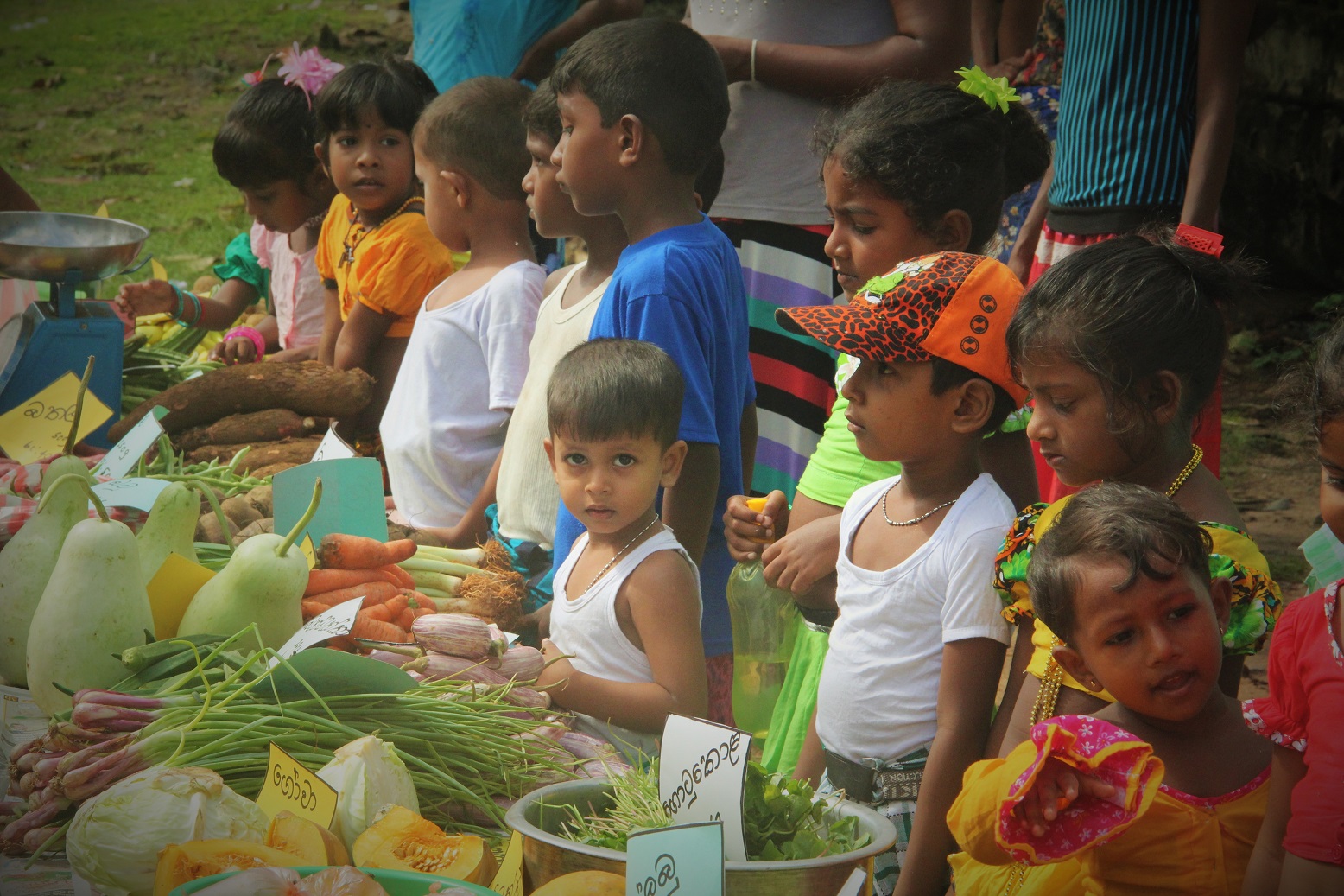 YMCA of Pamunugama: Vegitable Fair by Pre School