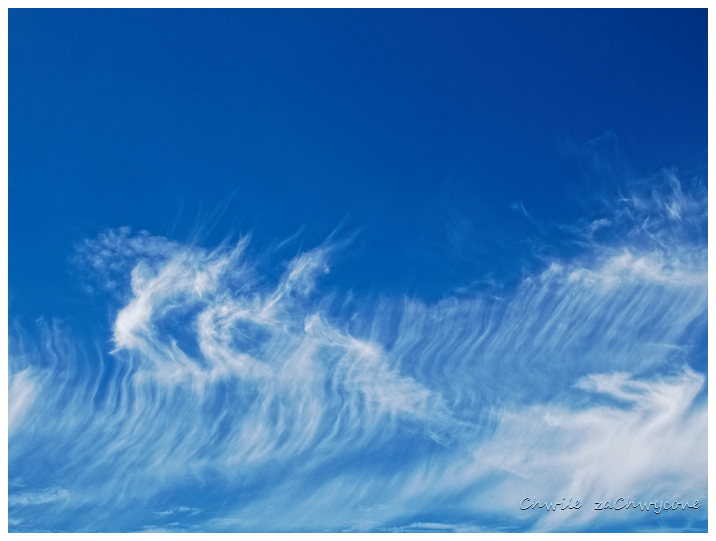 Chwile zaChwycone: Cirrusy, chmury nieba wysokiego