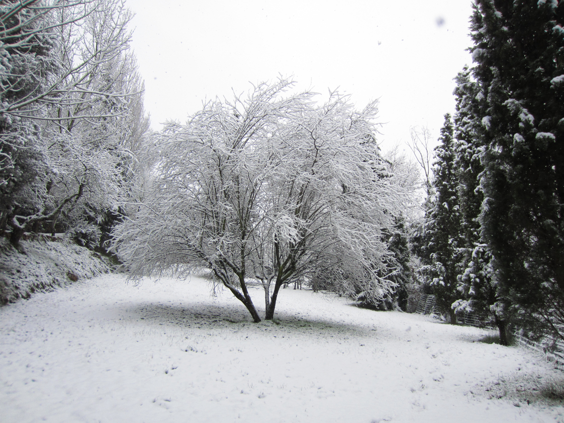 SuinSweetland: Nieve, dulce nieve...