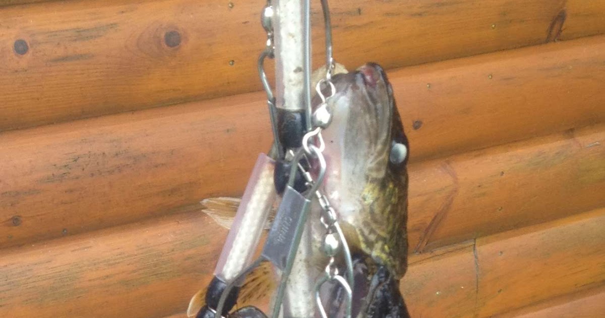 Sprigs of Rosemary: ..: Walleye-palooza 2012 :.. Featuring Bacon ...