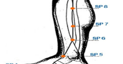 Akupuntur: Titik Meridian Limpa