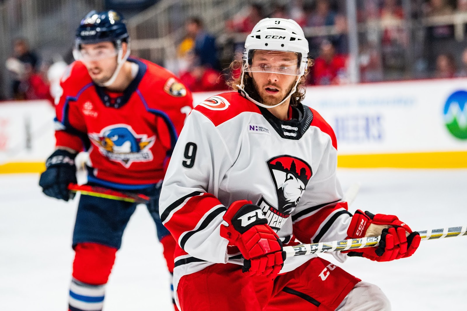 Texas Stars Acquire Anthony Louis in Attempt to Break Out of Losing Streak