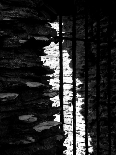 Domesticated: Cilgerran Castle & Teifi Gorge