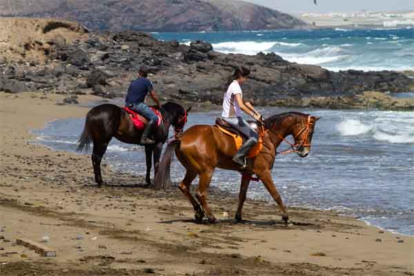 RUTERO: Caballos en la playa