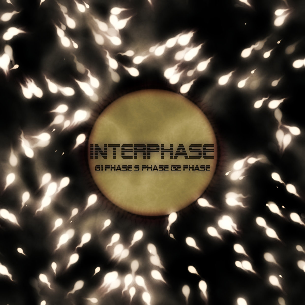 And more...: INTERPHASE