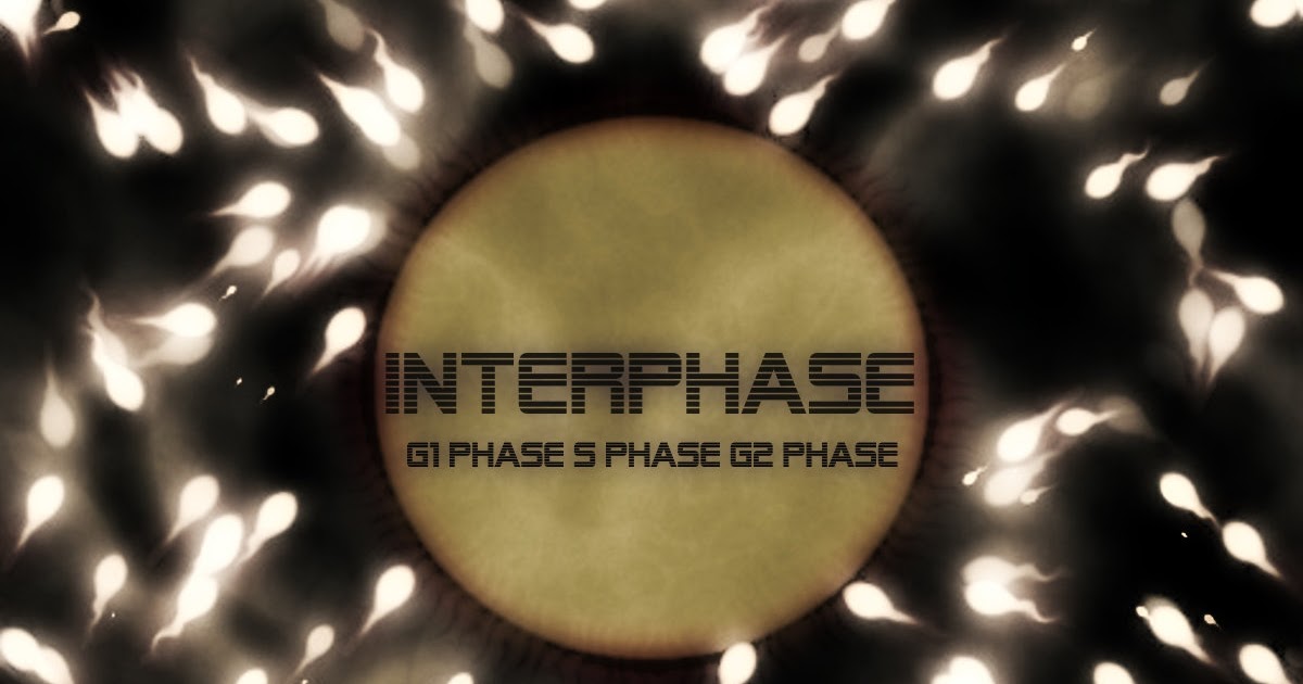 And more...: INTERPHASE