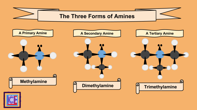Amine Examples