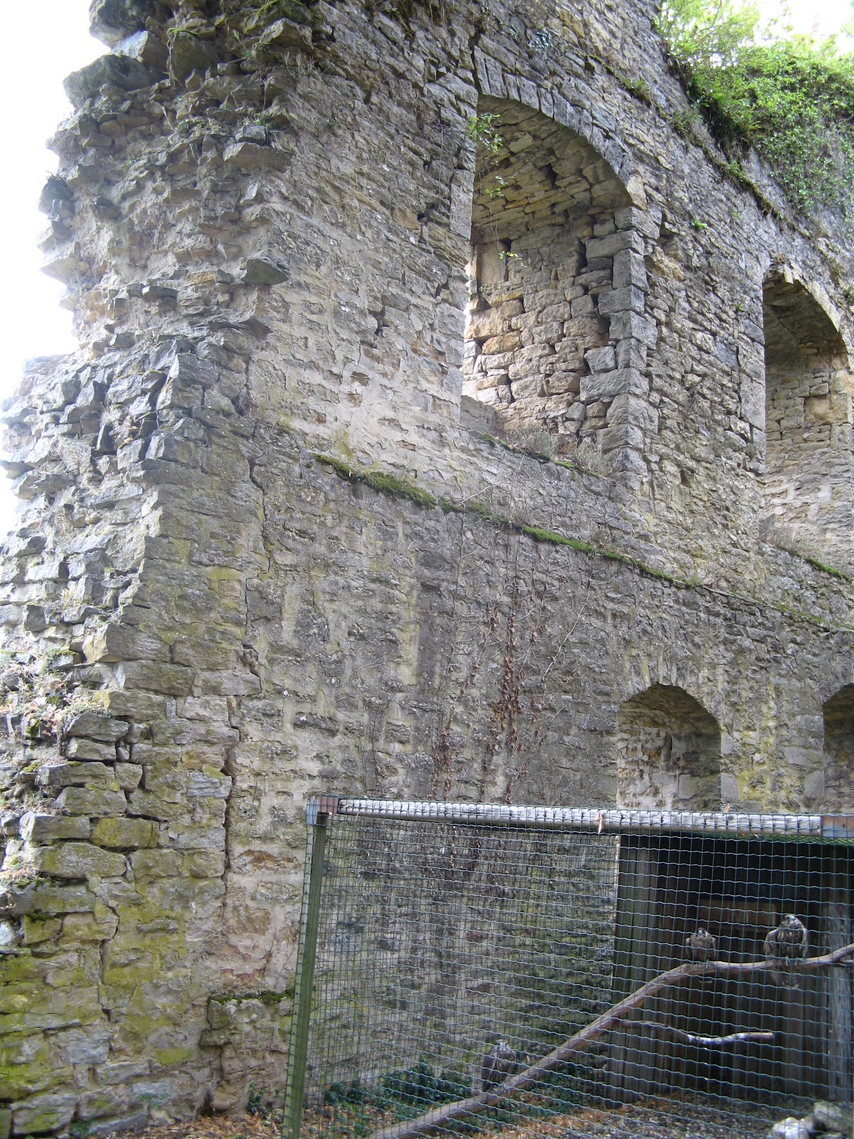 MES VIEUX CHATEAUX: Le Chateau d'Arlay