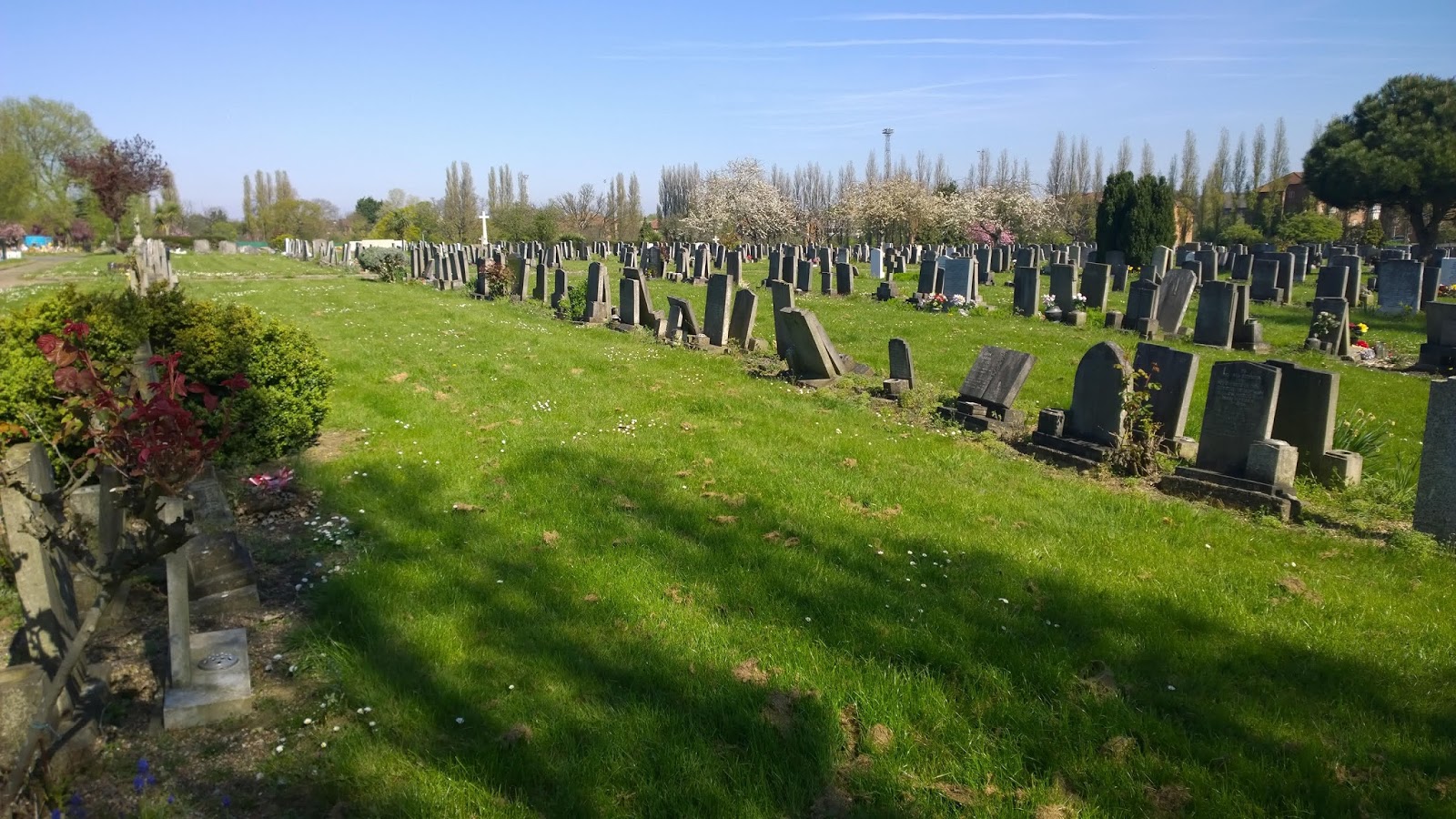 Lewisham Collection: Brockley & Hither Green in the 20th Century