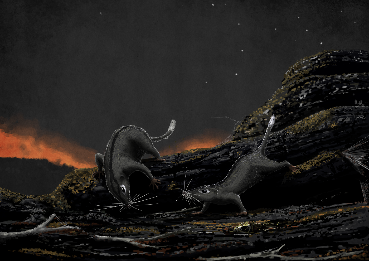 Mark P. Witton's Blog: You won't believe how interesting the Mesozoic ...