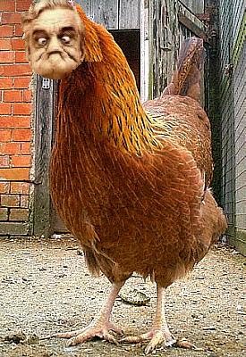 WEBTERANOS: EL GALLINERO VIRTUAL