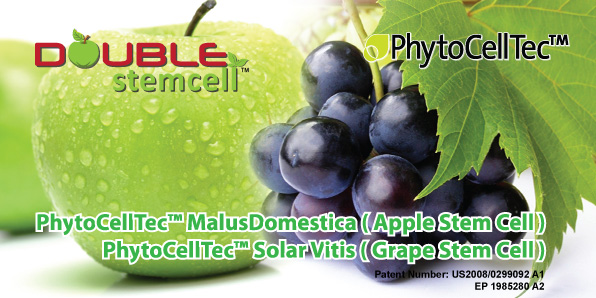 Double Stem Cell : Apa itu Stem Cell?