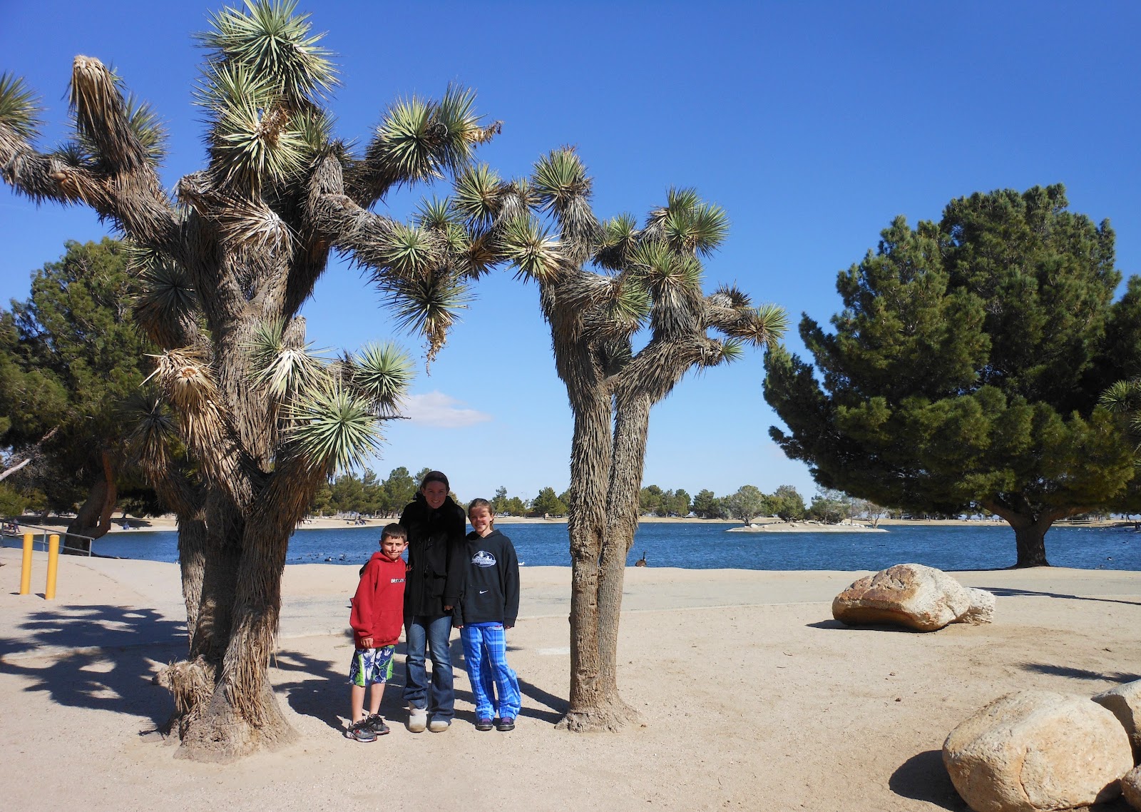 1000 Hikes in 1000 Days: Day 455: Apollo Community Regional Park