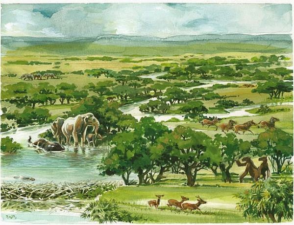 Our Vital Earth: Boxstone