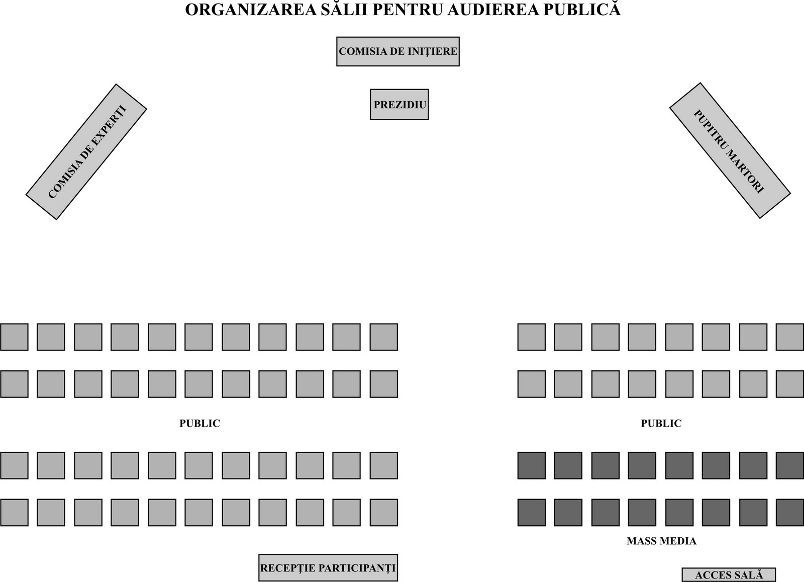 Timişoara, oraşul premierelor: Audiere publică