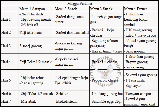 Cara Makan Set Kurus Shaklee Dan Menu Diet 30 Hari Pasti Turun Berat ...