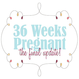 She Turned Her Dreams Into Plans: 36 Weeks Pregnant with Twins! (Final ...
