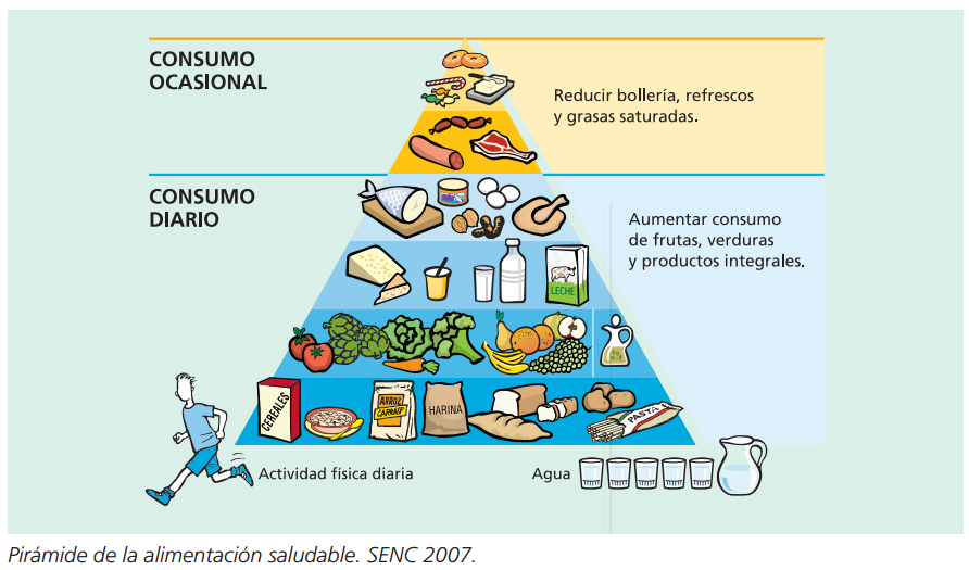 Piramides alimenticia - Imagui
