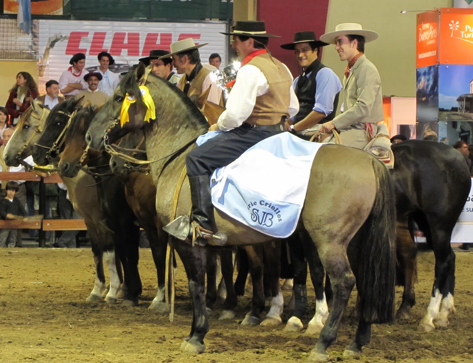 Millennium Dragon: Nuestros Caballos - The Horses..