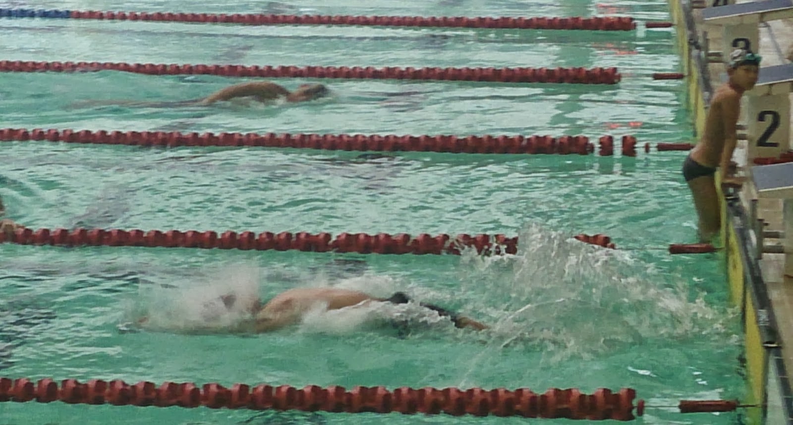 Male Athletes World: Swimming: Tony Yip's lower backstroke. Just see ...
