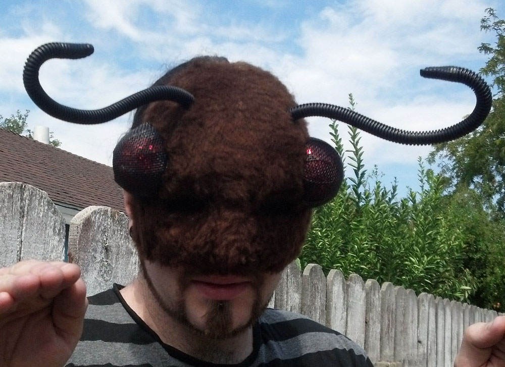 Natura Pluma Designs