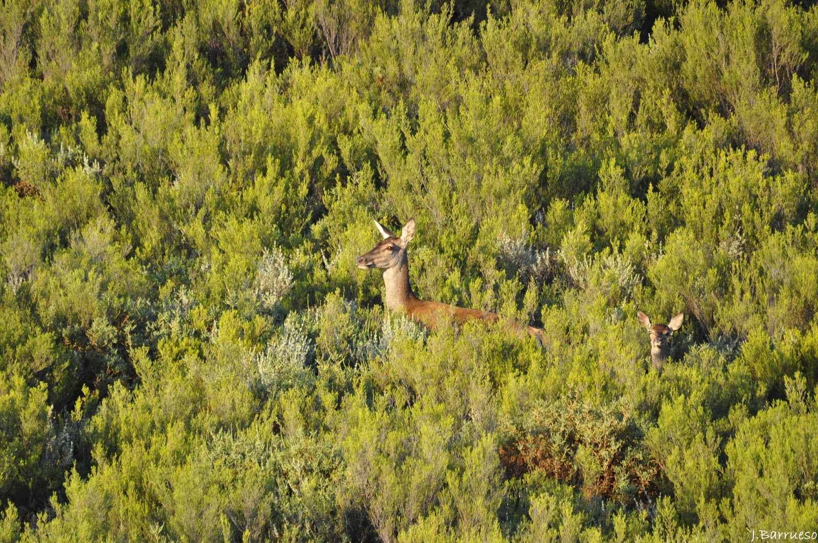 De paseo por la naturaleza