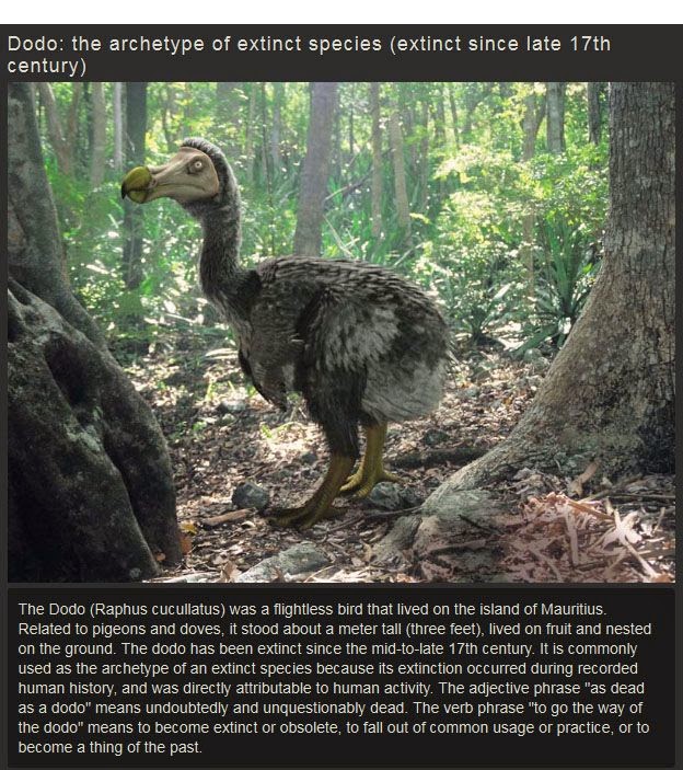 Amazing Extinct Animals ~ epix