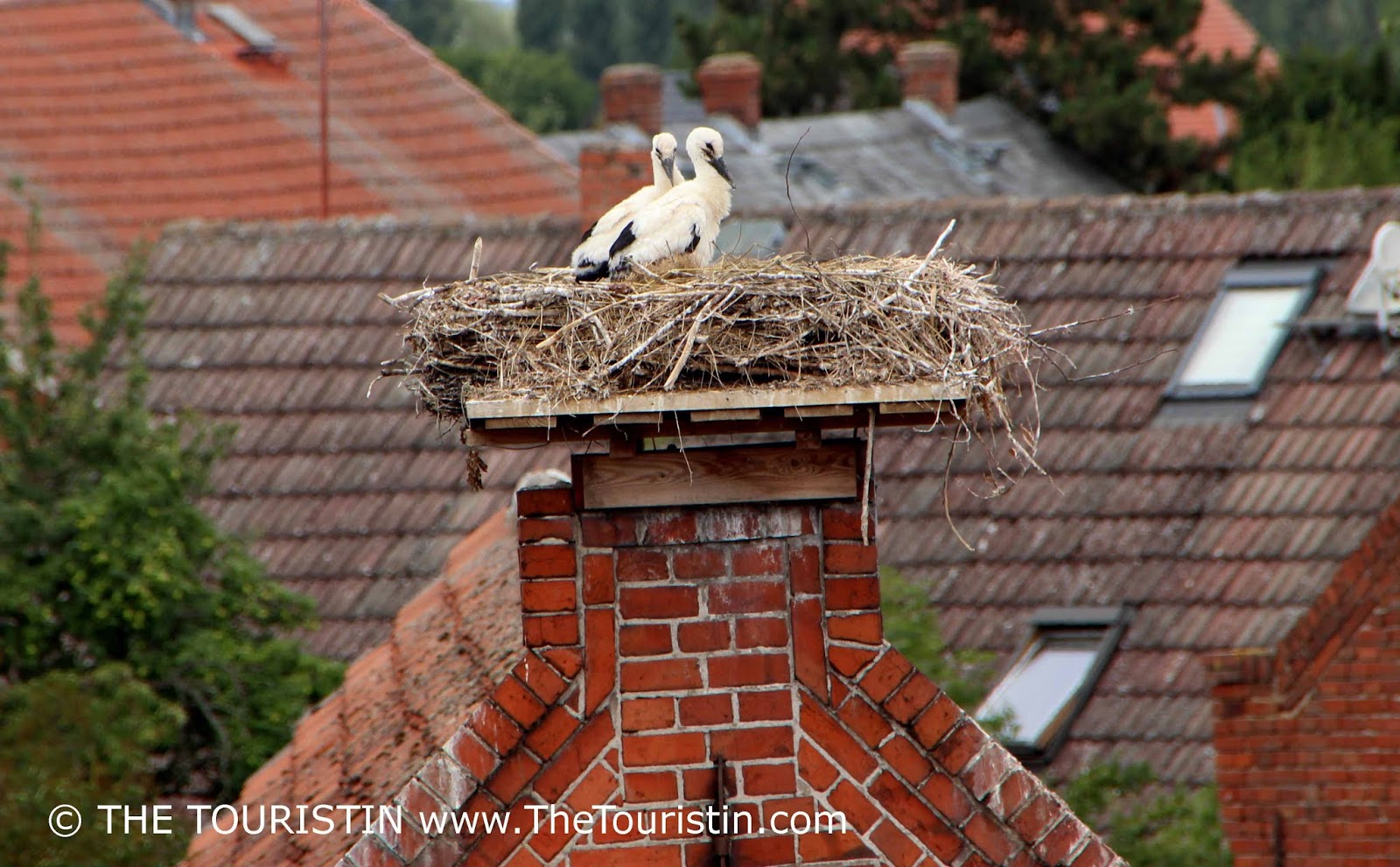 THE TOURISTIN: Travel Germany. Visit Rühstädt: Europe's largest stork town