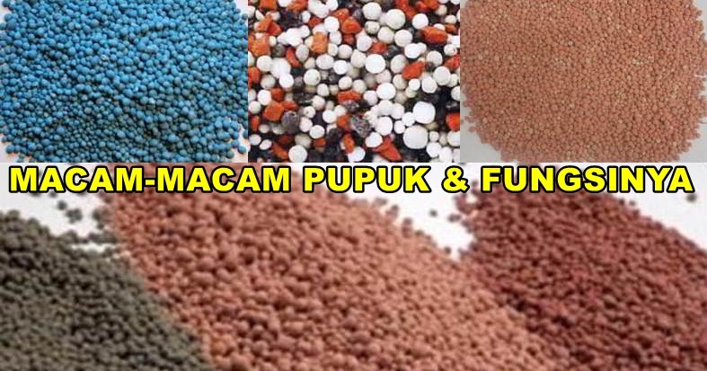 MACAM-MACAM PUPUK DAN BERBAGAI MACAM FUNGSINYA ~ Banaran Info