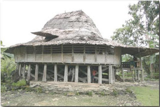 TRADITIONAL NIAS HOUSES - Tropical Architecture