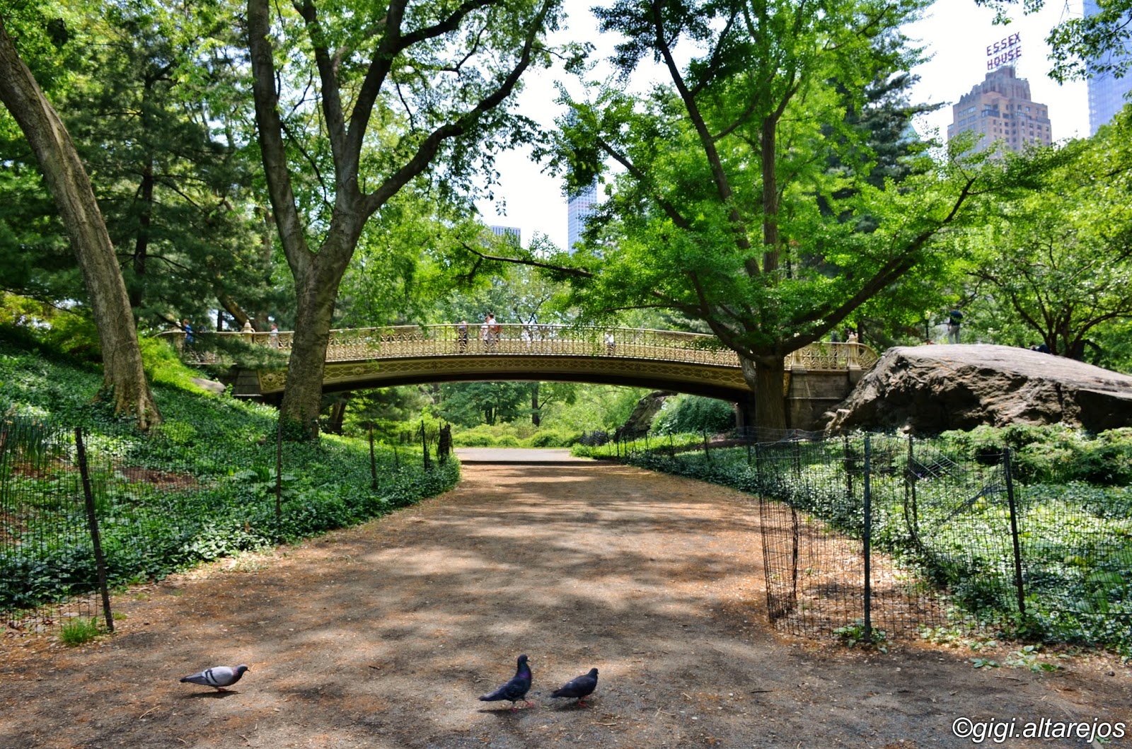 My Walking Pictures: The Bridges and Arches of Central Park - Part 1