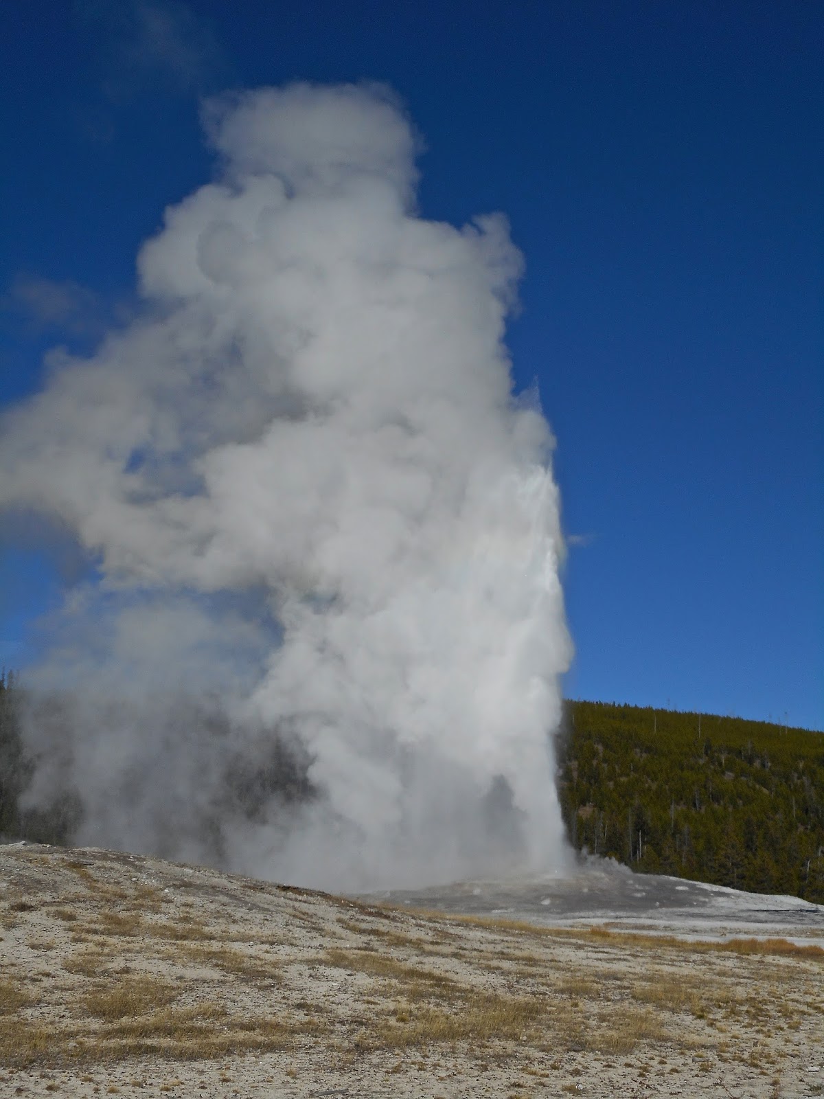 WESTERN WYOMING: YELLOWSTONE GEYSERS