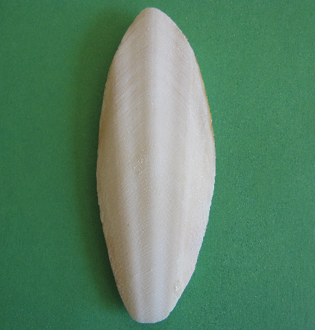 The Alchemists Vessel: Cuttlebone Casting Part I - Materials and Model ...