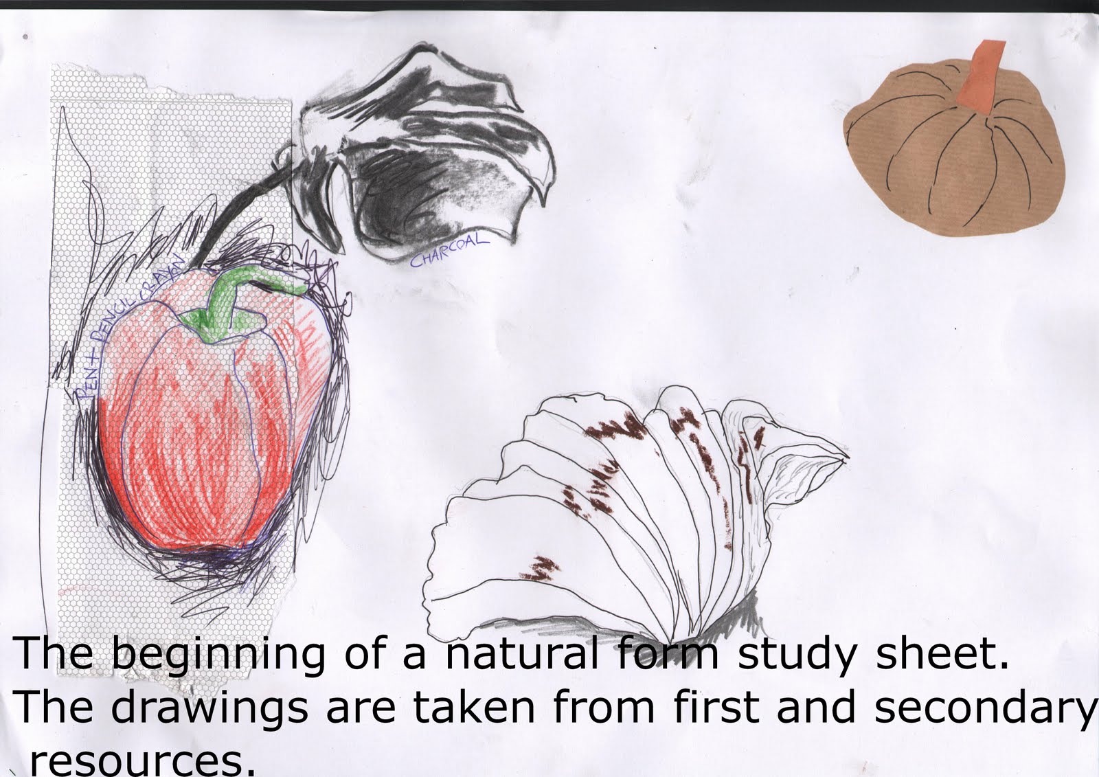 Art From School of Calactus: Natural form mixed-media