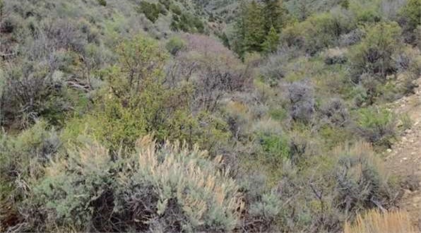 Adventures under the Dark Sun: Dark Sun Terrain: Scrub Plains