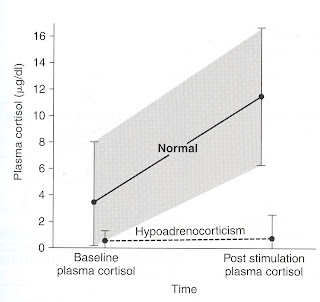 Insights into Veterinary Endocrinology: Q & A: Blunted Cortisol ...