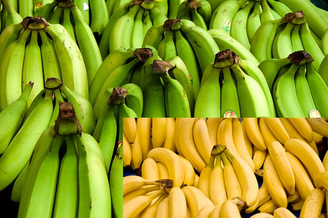 Kandungan Dalam Buah Pisang dan Manfaatnya | Info Kesehatan