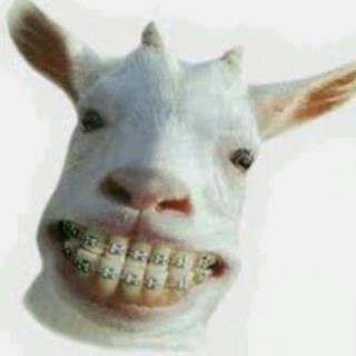 Kita Lihat Bagamana Kalau Hewan Pake Behel (kawat gigi)