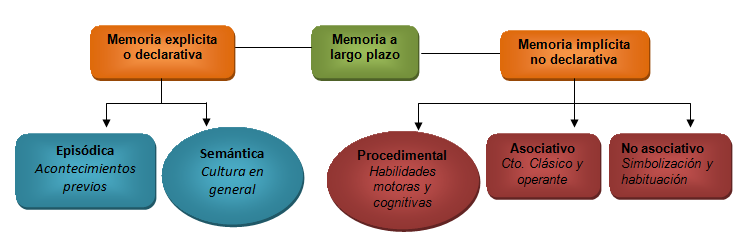 BLOG PSICOBIOLOGICO: PROCESOS PSICOLOGICOS "MEMORIA"