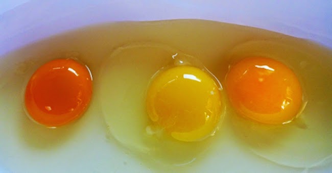 Free Range Eggs: Yolk colour varies with the seasons