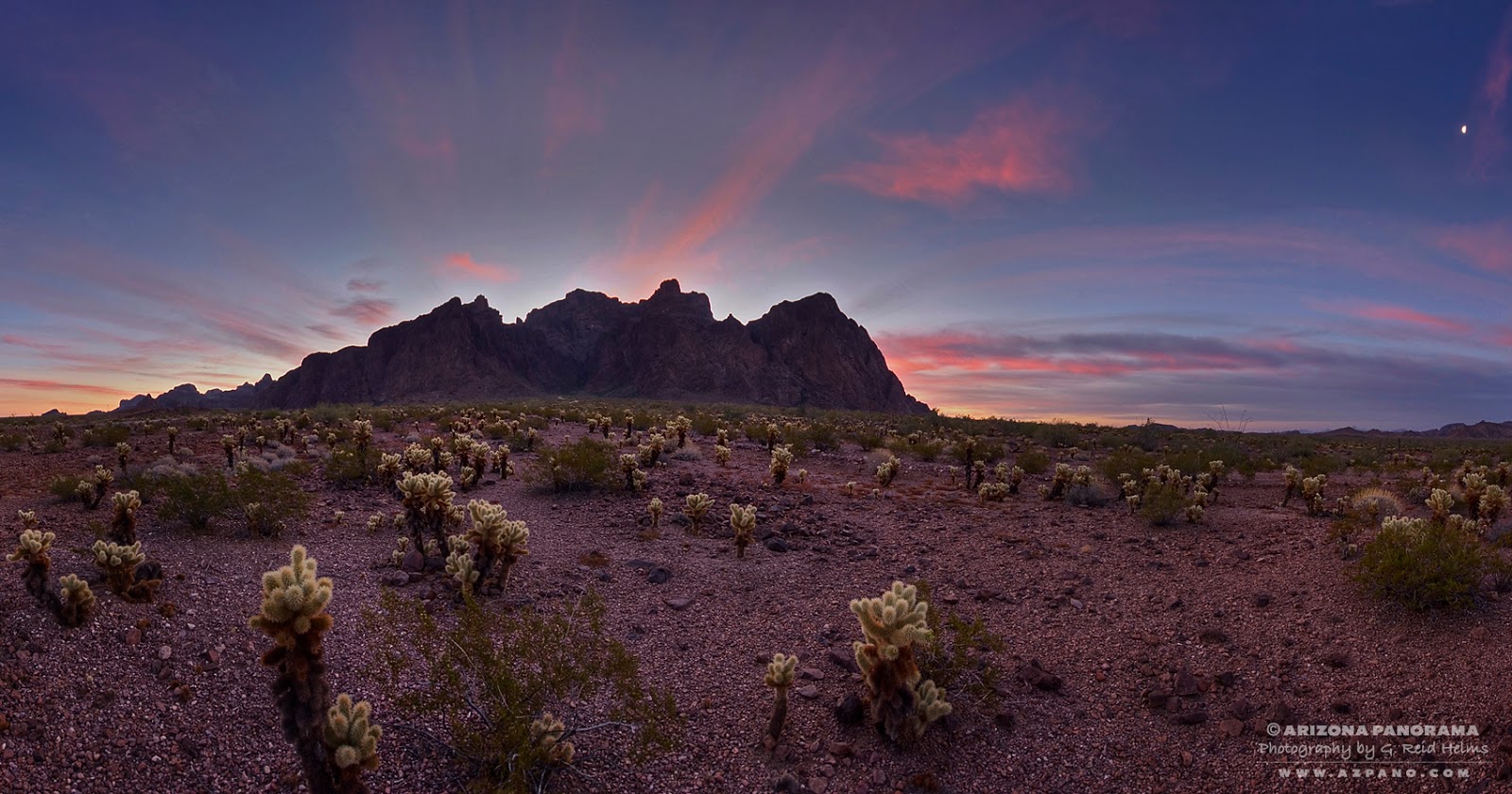 Arizona Panorama: Kofa National Wildlife Refuge