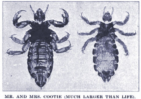 Roads to the Great War: Meet the Cootie