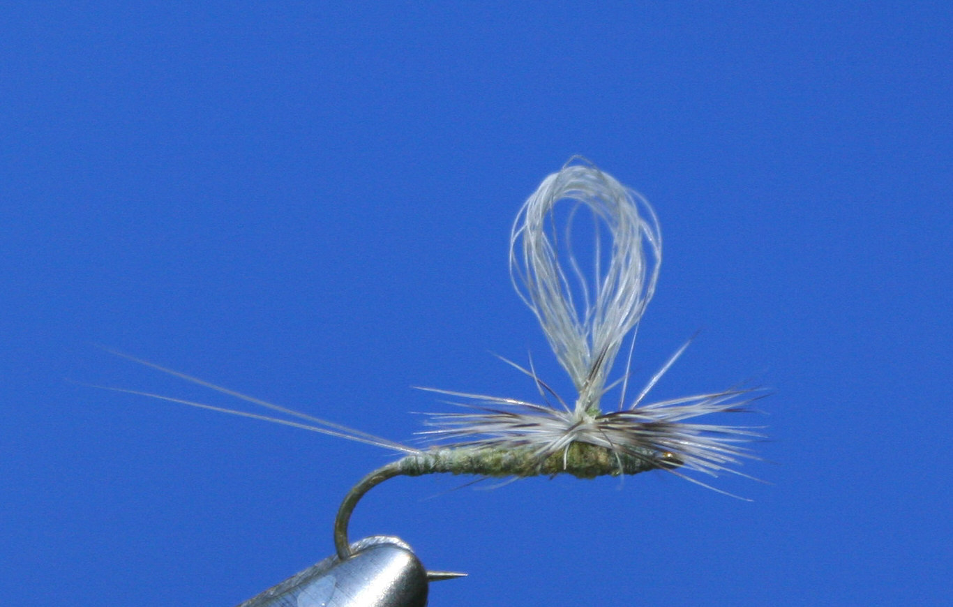 Jon Baiocchi Fly Fishing News: Tying The Loop Wing BWO Dry Fly