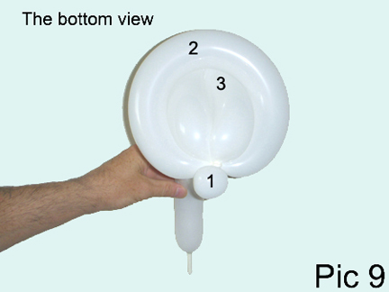 CLASSICAL: Balloon swan